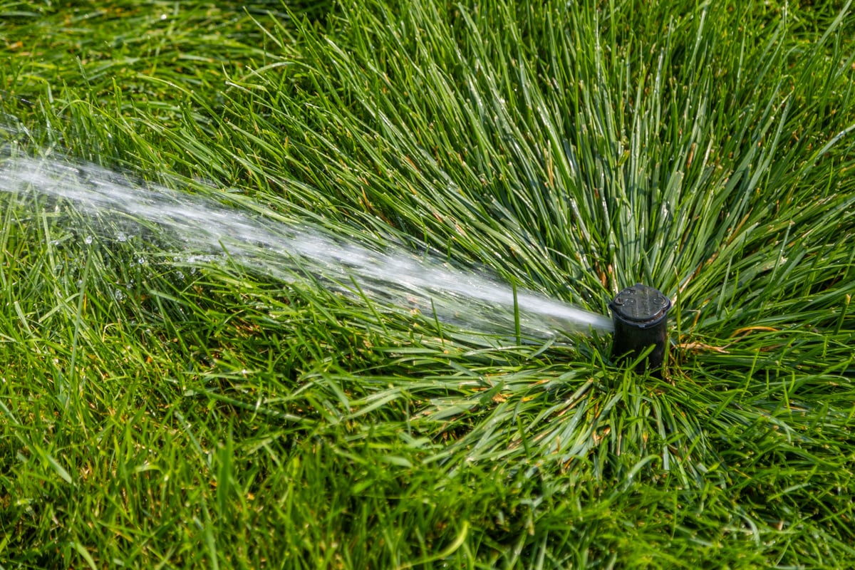 How to Create a Drought-Resistant Lawn in Idaho