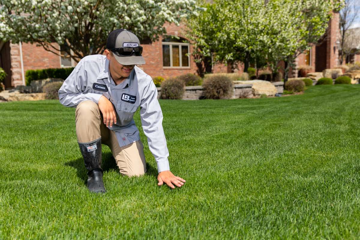 How to Identify Your Grass Type in Idaho