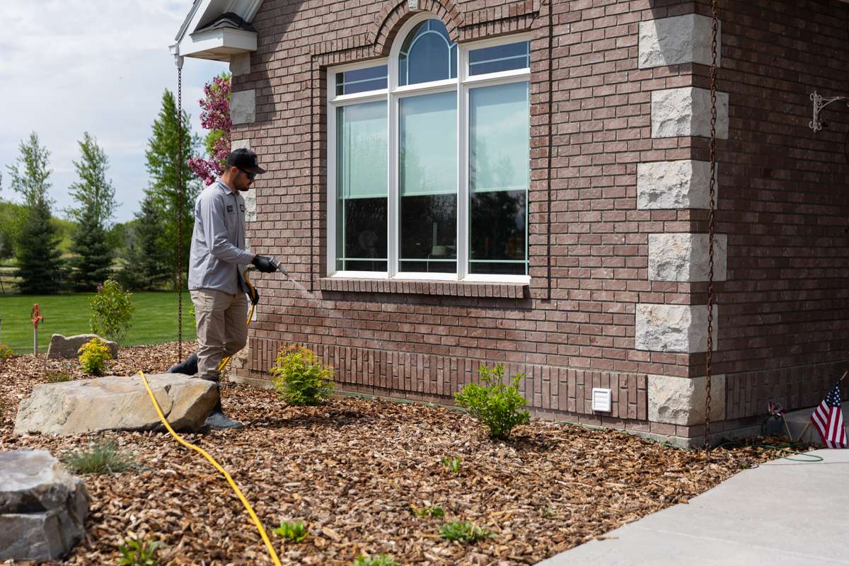 Is Your Perimeter Pest Control Strategy Effective? What to Look For