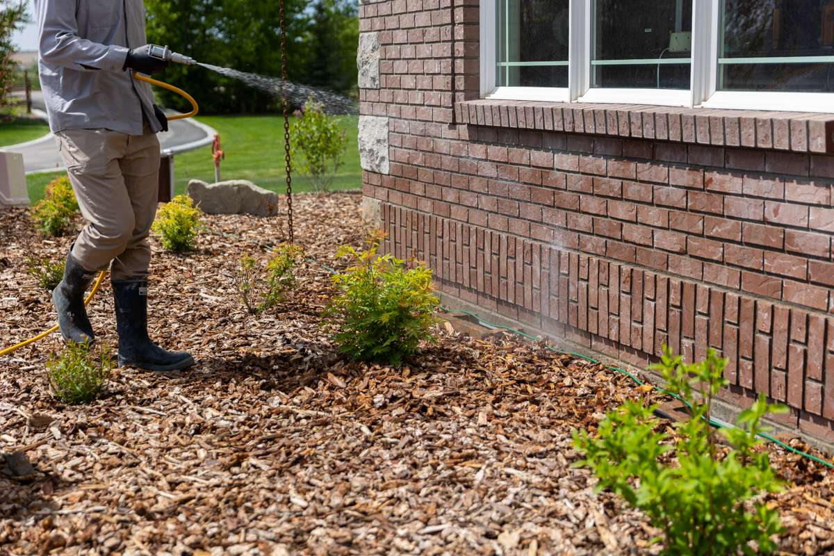 How Long Does Perimeter Pest Control Spraying Last?