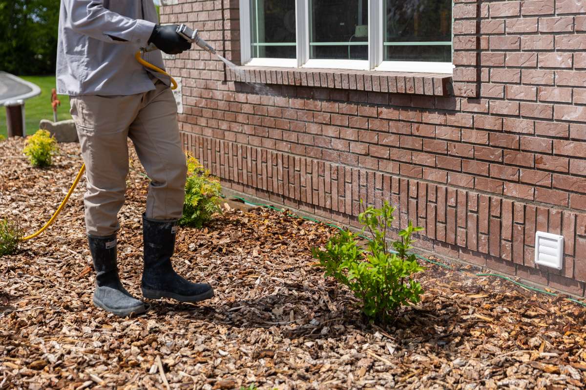 Does Mulch Attract Insects? What Idaho Falls Homeowners Need to Know