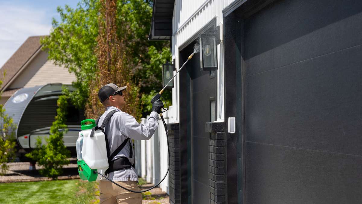 How Long Does Perimeter Pest Control Spraying Last?